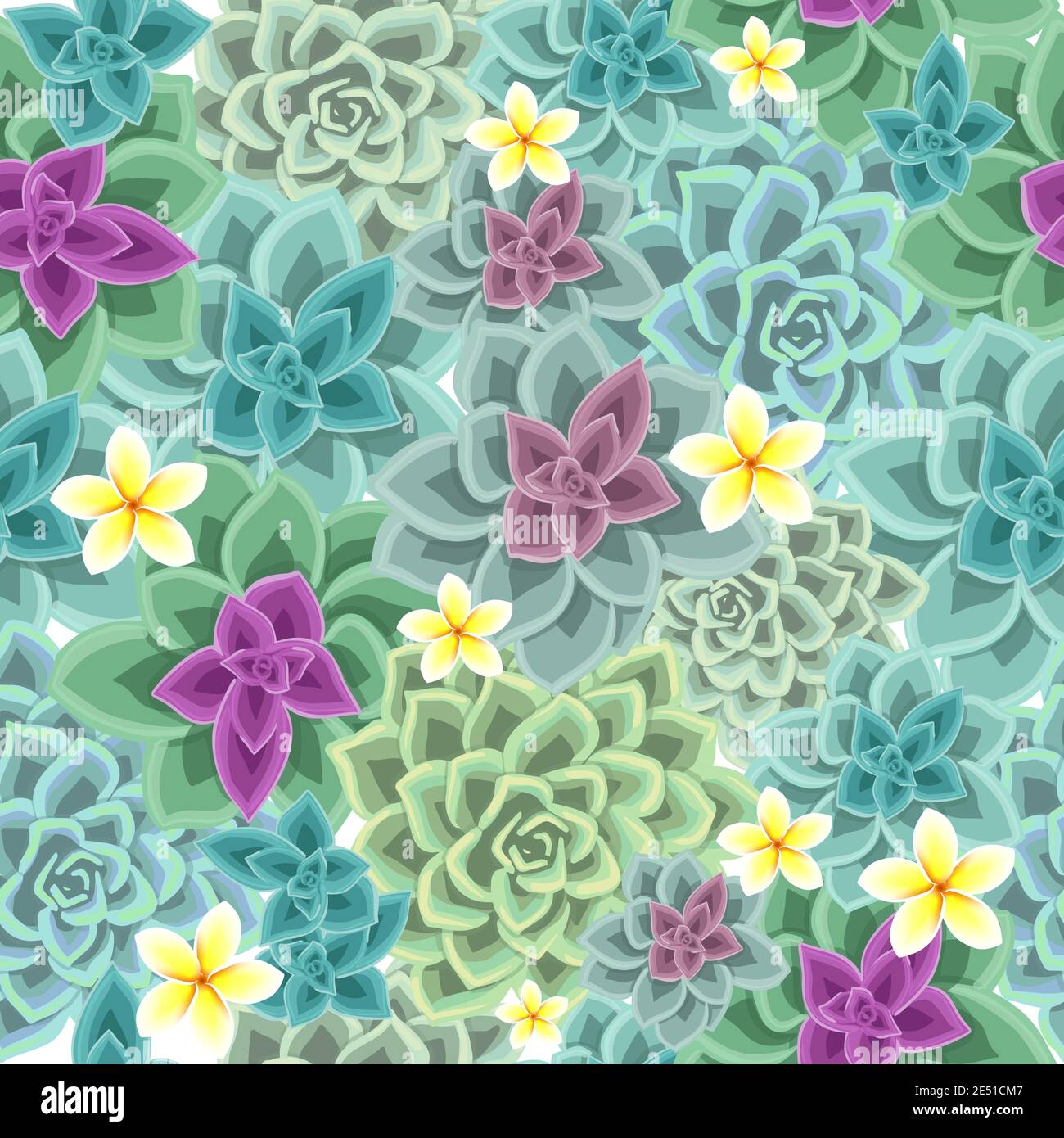 Seamless background with succulents. Vector floral illustration Stock ...