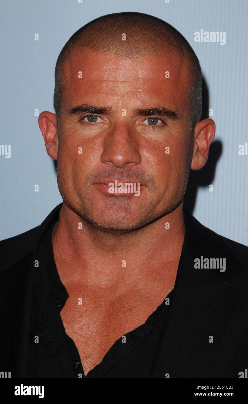 Dominic purcell actor hi-res stock photography and images - Alamy