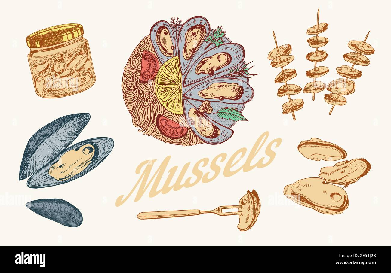 Sea mussels in vintage retro style. Nautical molluscs. Ocean food ...