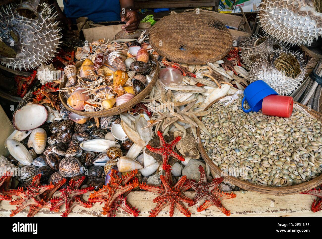 Shells Africa High Resolution Stock Photography and Images - Alamy