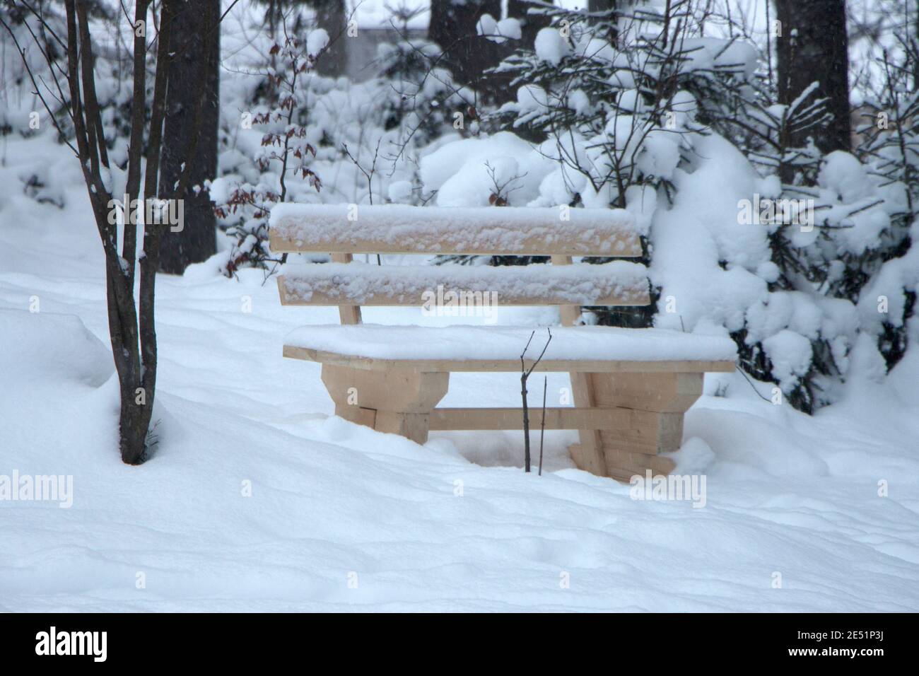 Wooden bench covered with snow in the park. Winter snowy day in the ...