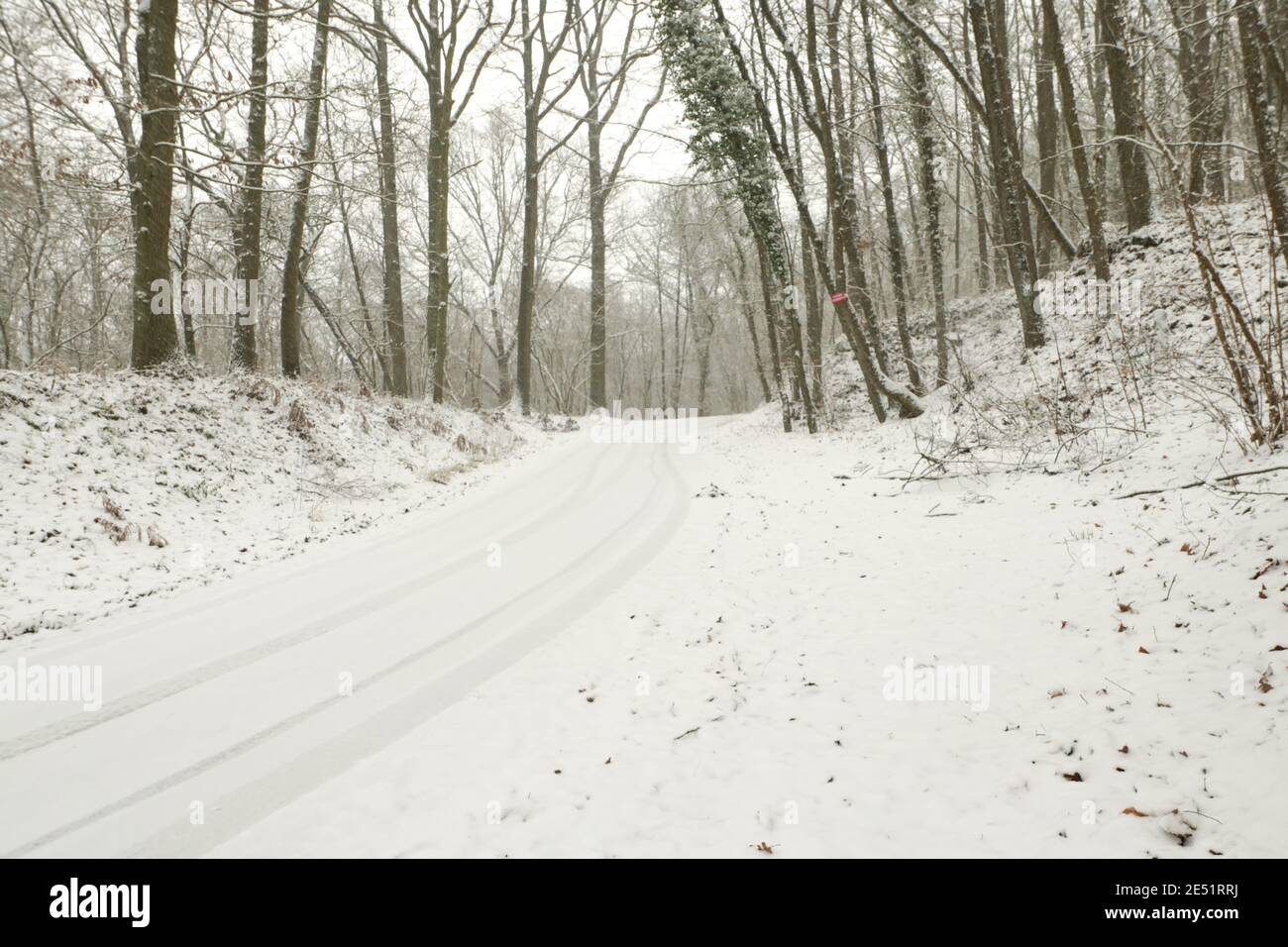 Perspective on a snow-covered forest path in winter Stock Photo - Alamy
