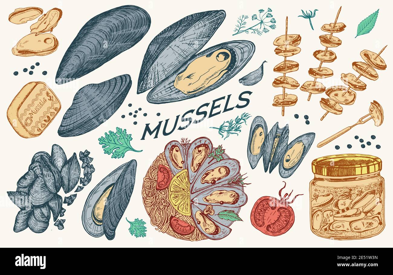 Sea mussels in vintage retro style. Nautical molluscs. Ocean food ...