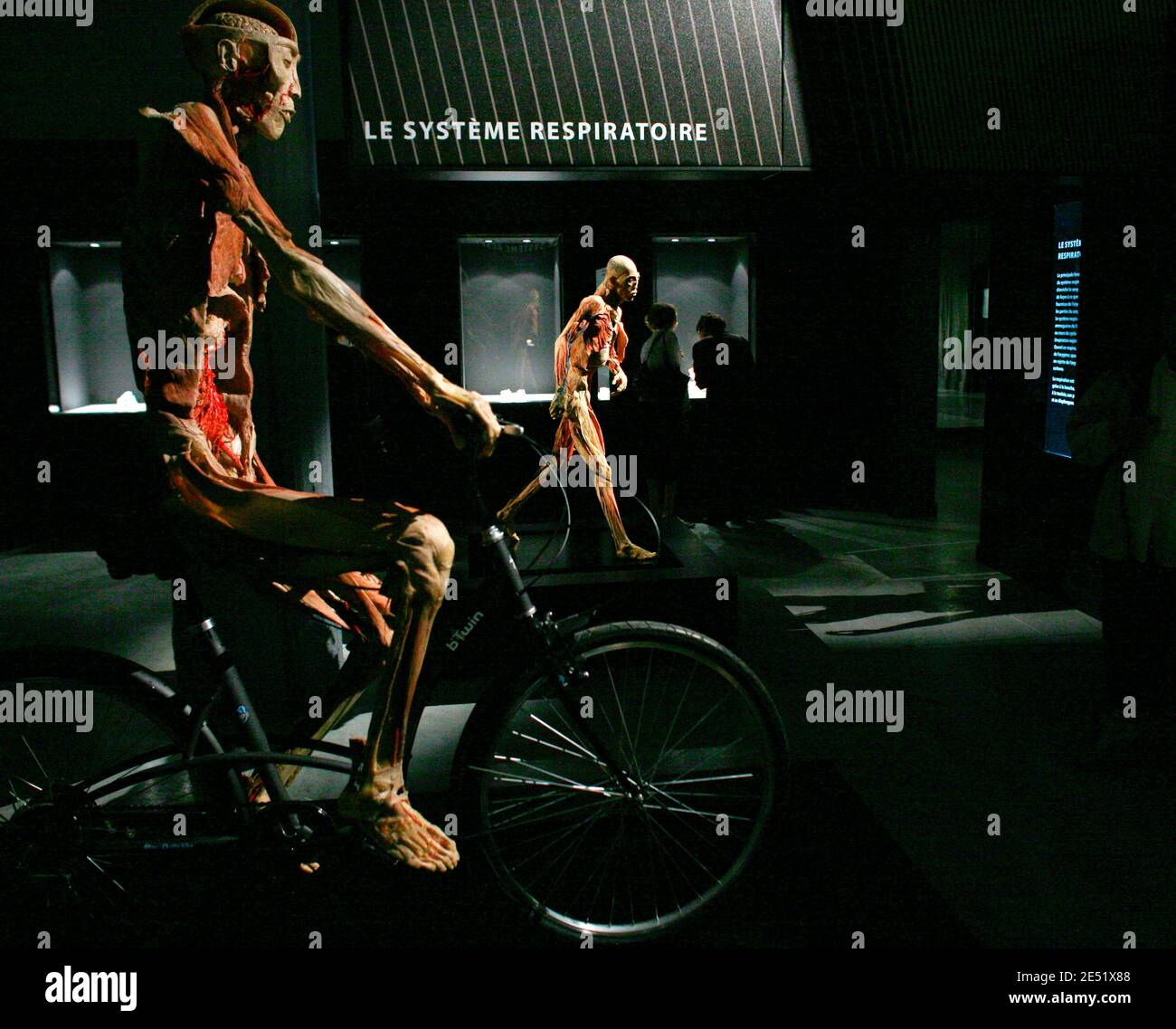 "Our Body exhibition in Lyon, France on May 29, 2008. Consisting of ...