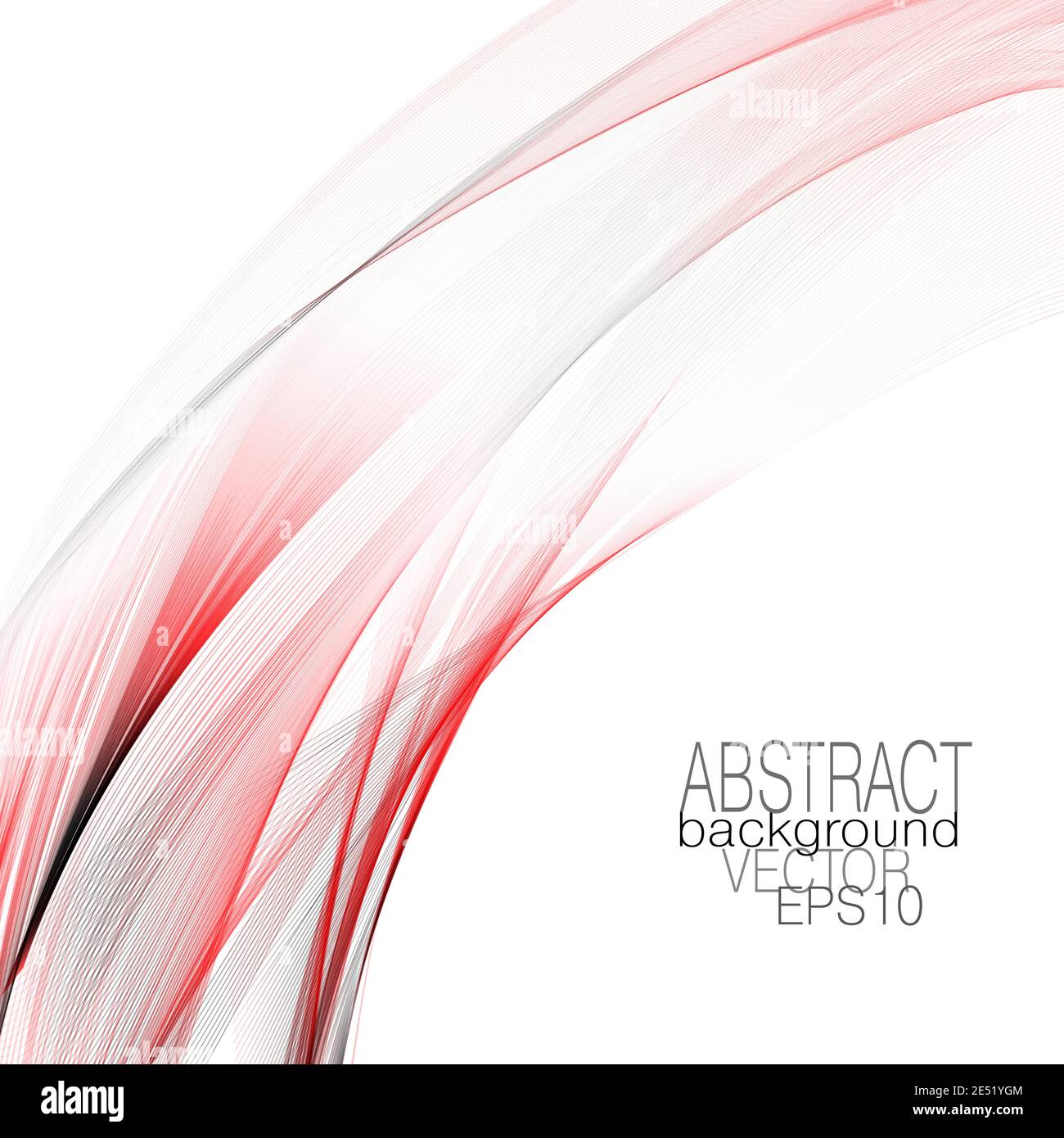 Template Layout With Red Gray Wavy Curved Lines Flowing Veil Modern Abstract Design Vector
