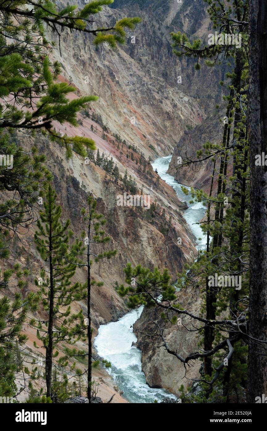 Grand View of the Yellowstone River, Yellowstone National Park, USA ...
