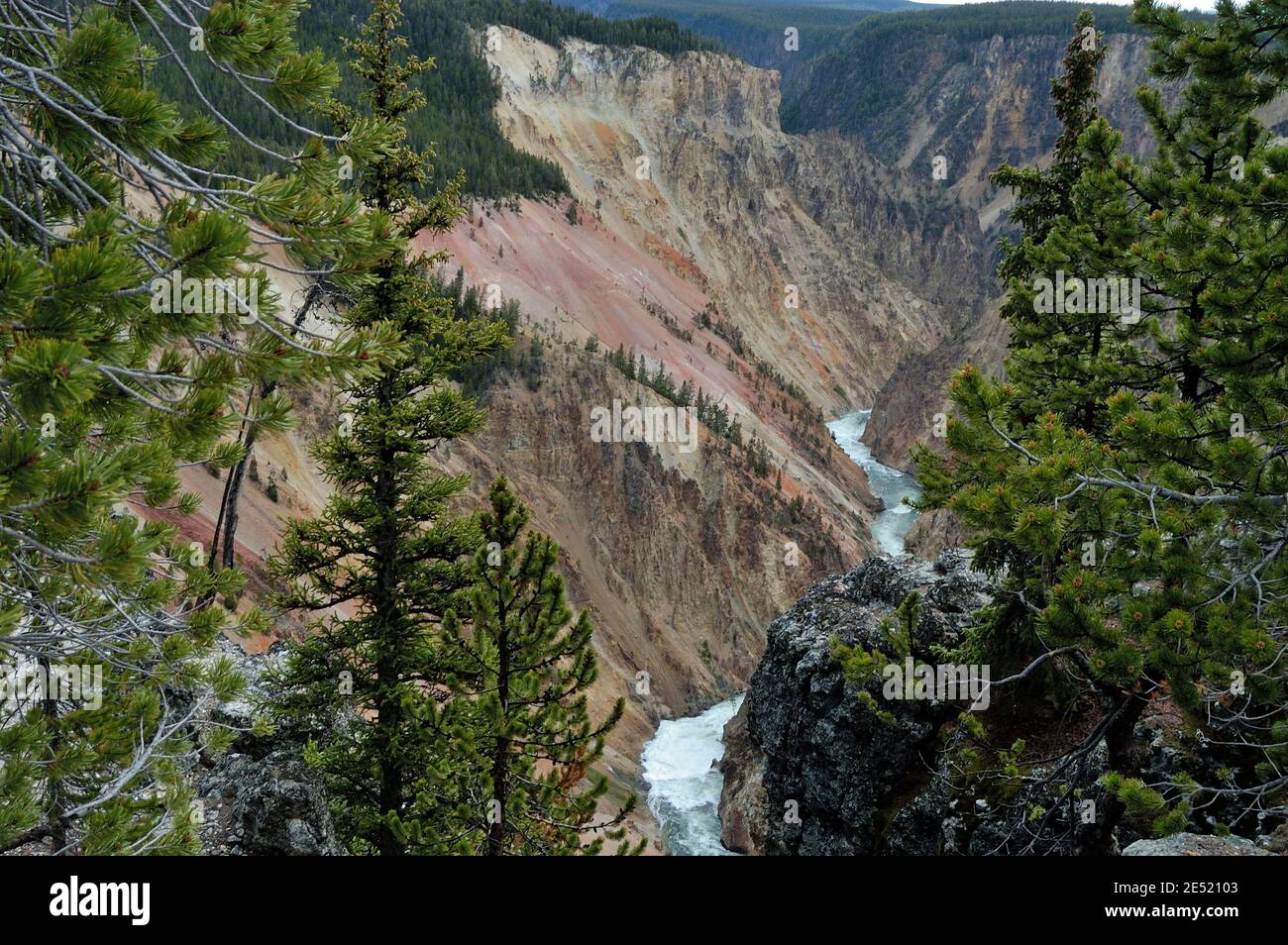 Grand View of the Yellowstone River, Yellowstone National Park, USA ...