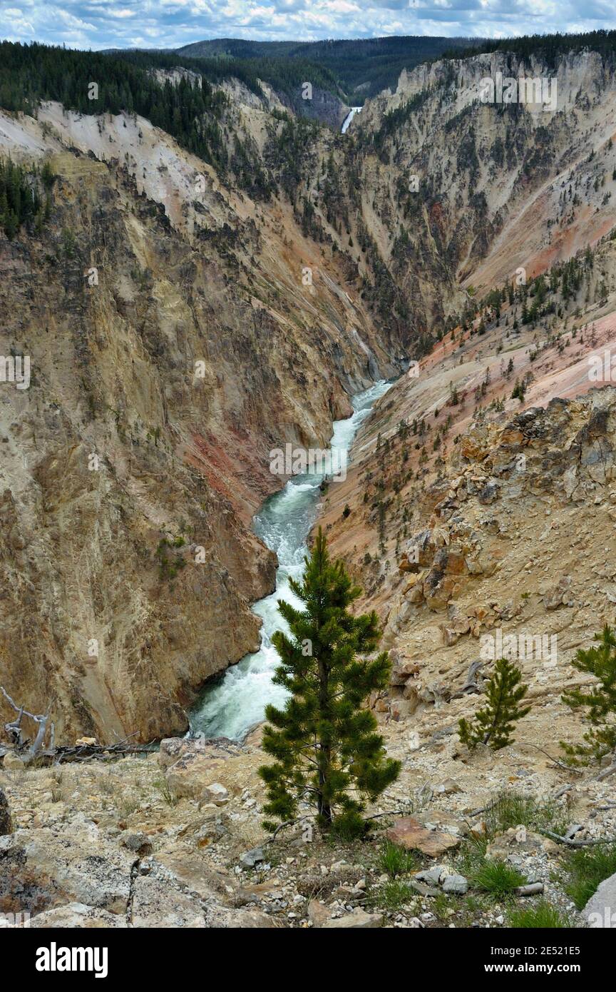 Inspiration Point, Grand Canyon of the Yellowstone river, Yellowstone ...