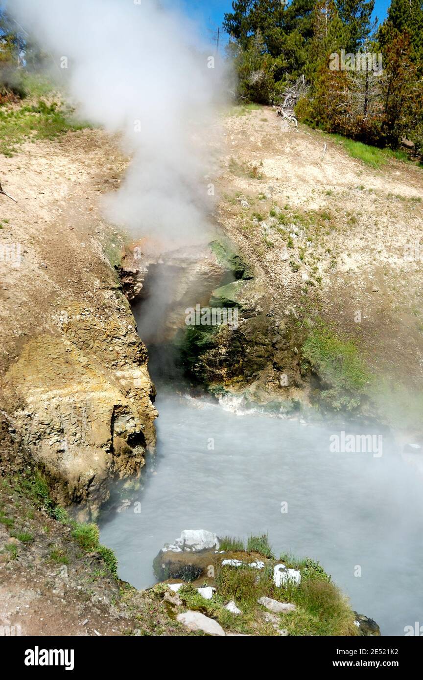 Dragon's Mouth Spring, Mud Volcano Area, Yellowstone National Park, USA ...