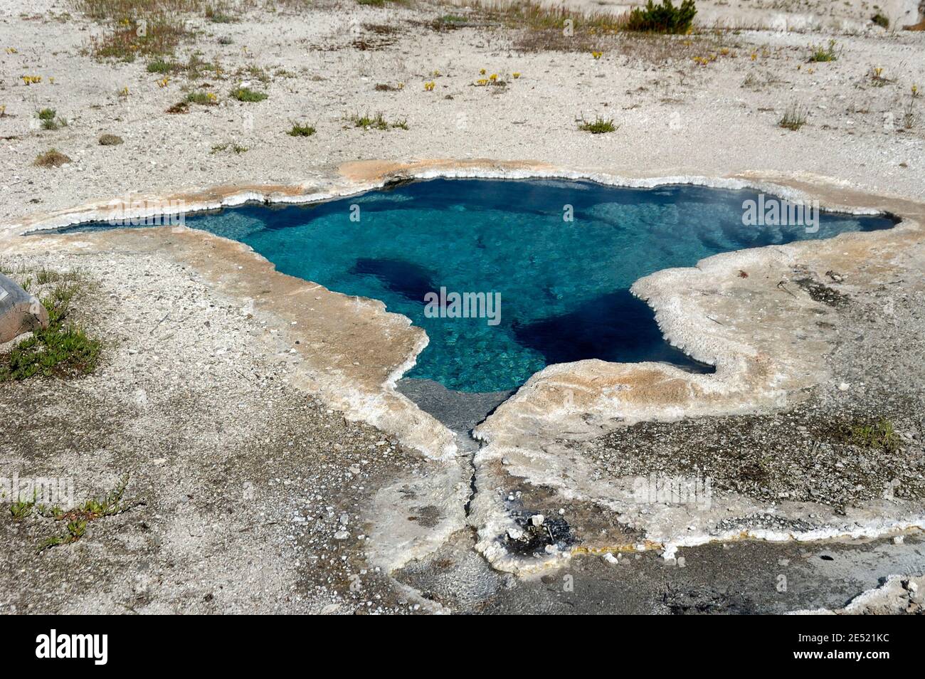 Blue Star Spring, Old Faithful Area, Upper Geyser Basin, Yellowstone ...