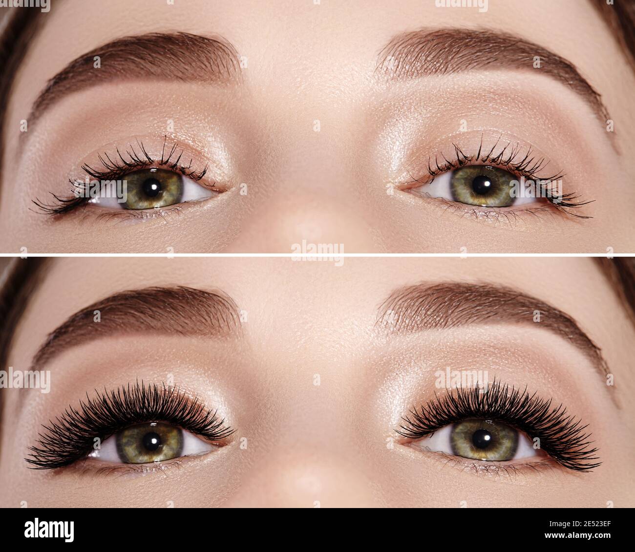 College beauty shot hi-res stock photography and images - Alamy