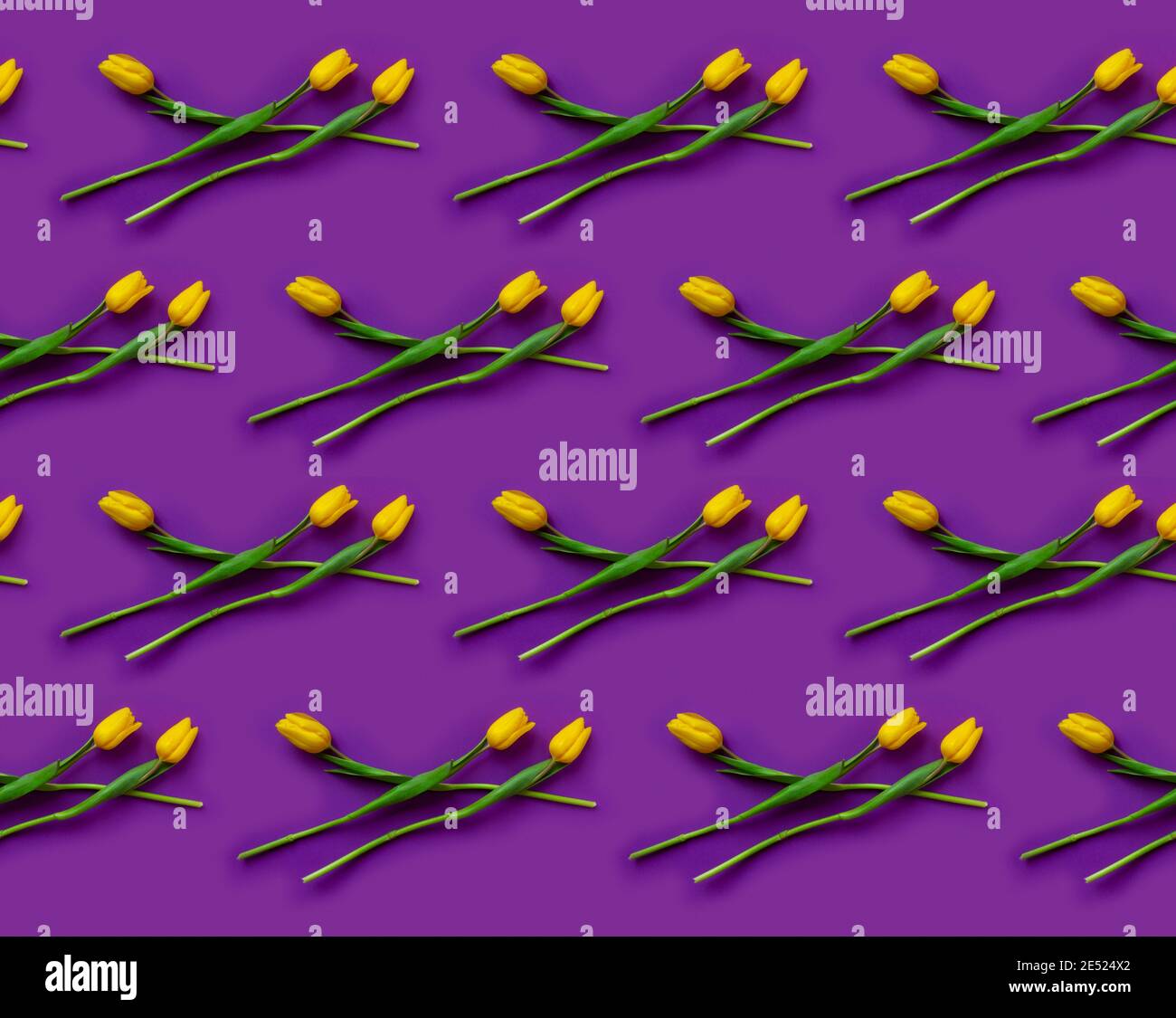 Modern flower hi-res stock photography and images - Alamy