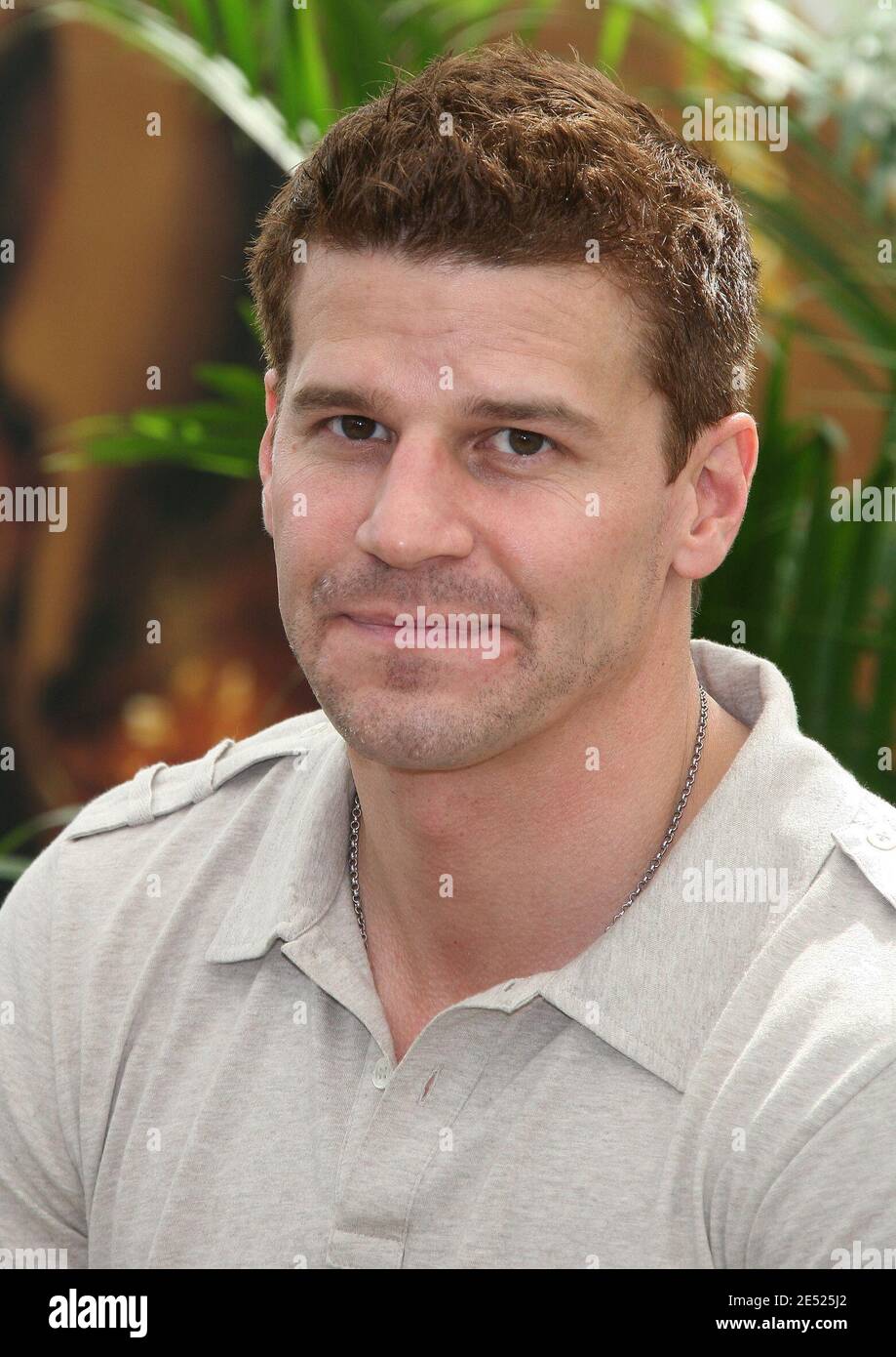 David boreanaz monte carlo hi-res stock photography and images - Alamy