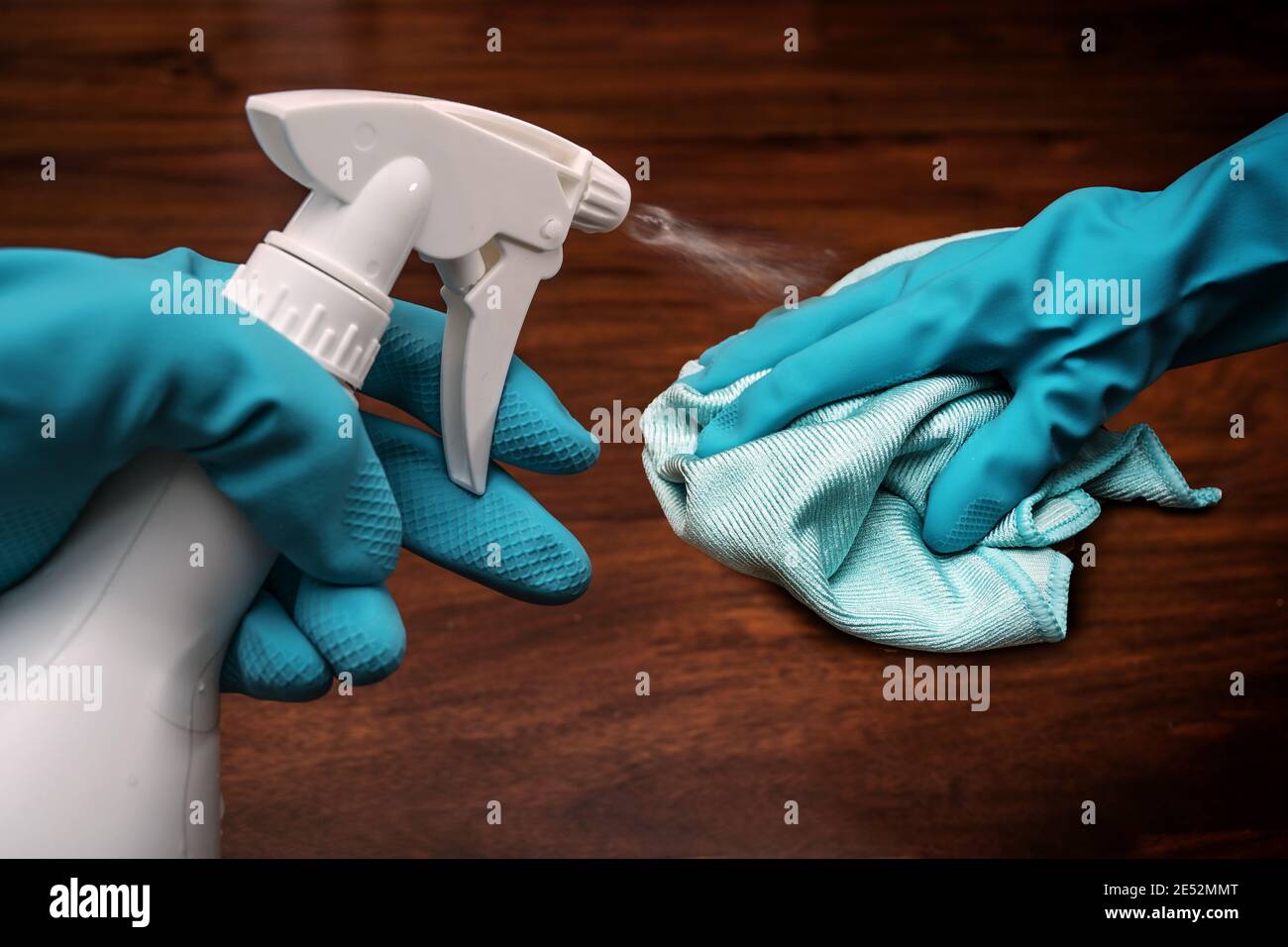 Hands in blue rubber gloves with a cleaning cloth and antibacterial ...