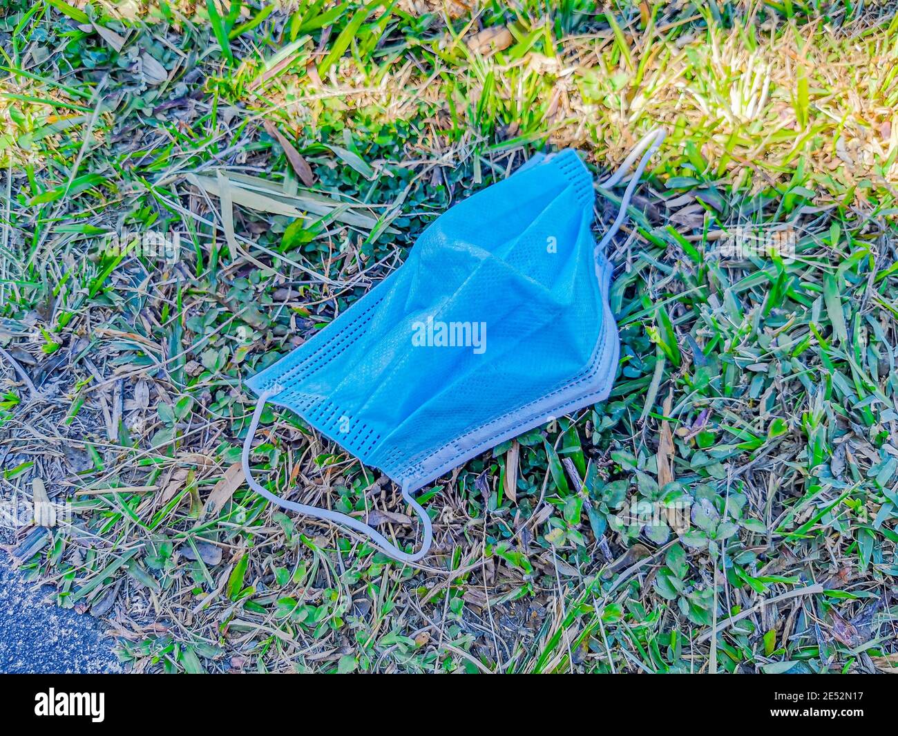 Surgical blue masks in nature. Corona virus pollution. Covid19. Corona ...