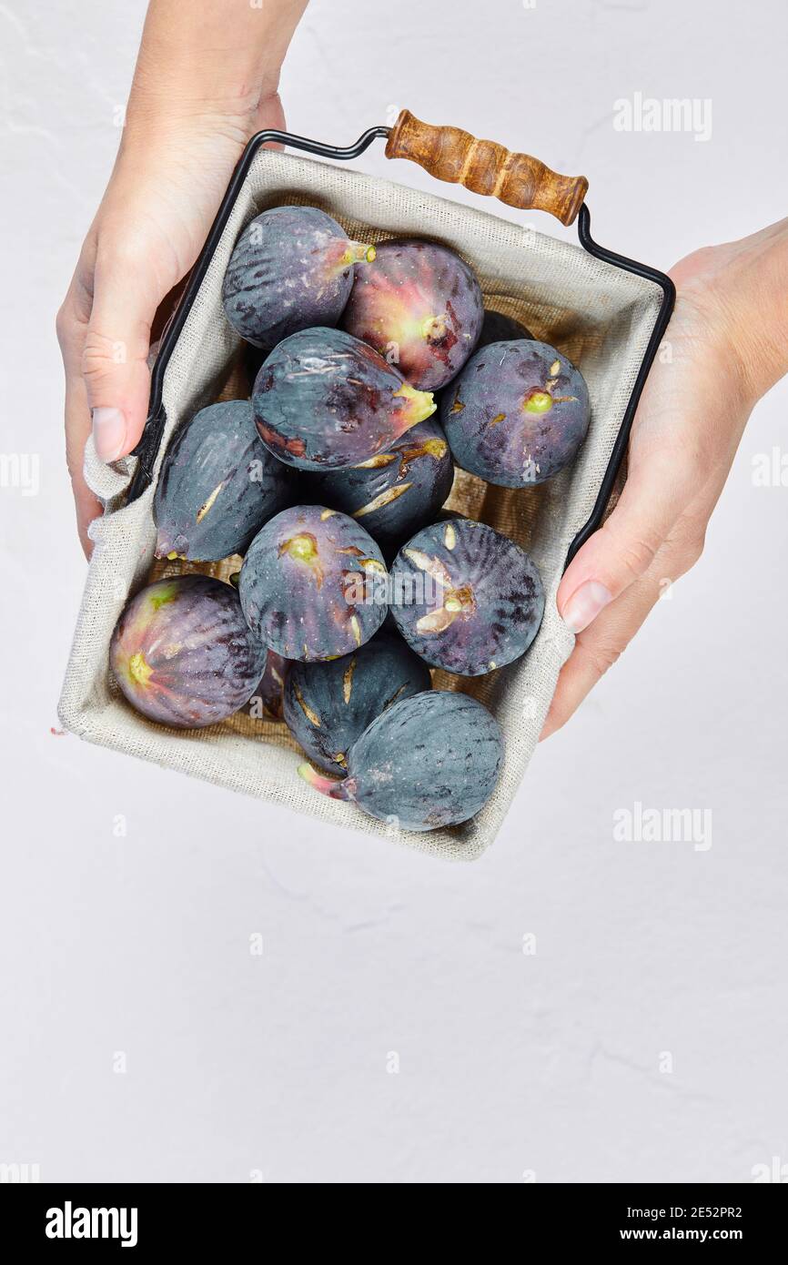 Hands holding figs hi-res stock photography and images - Alamy