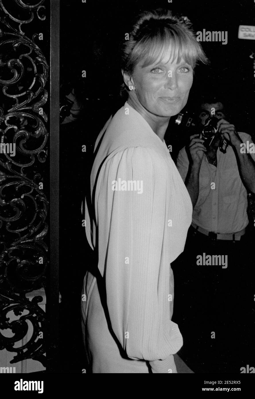 Linda Evans Credit: Ralph Dominguez/MediaPunch Stock Photo - Alamy