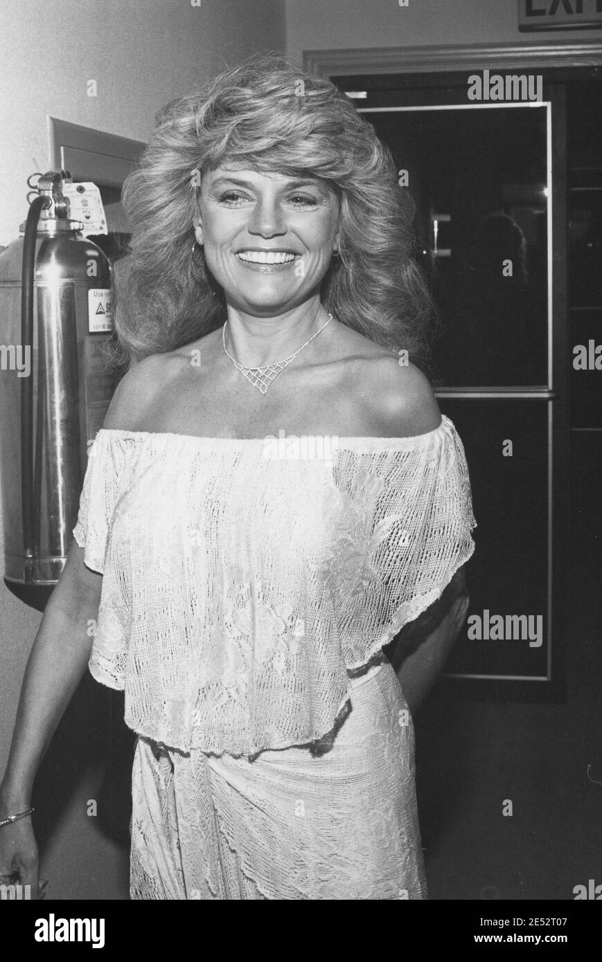 Dyan Cannon Credit: Ralph Dominguez/MediaPunch Stock Photo - Alamy