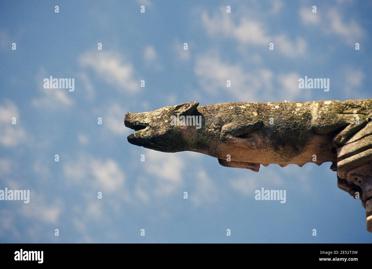 Scary Pig Gargoyle proturding from Basilique Notre Dame du Roncier in ...