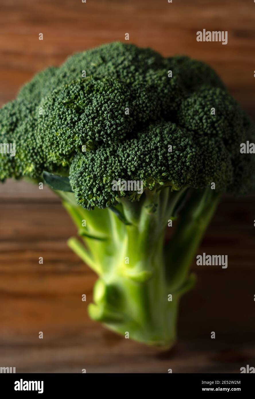 A picture of broccoli placed on a tree background. A view from above ...