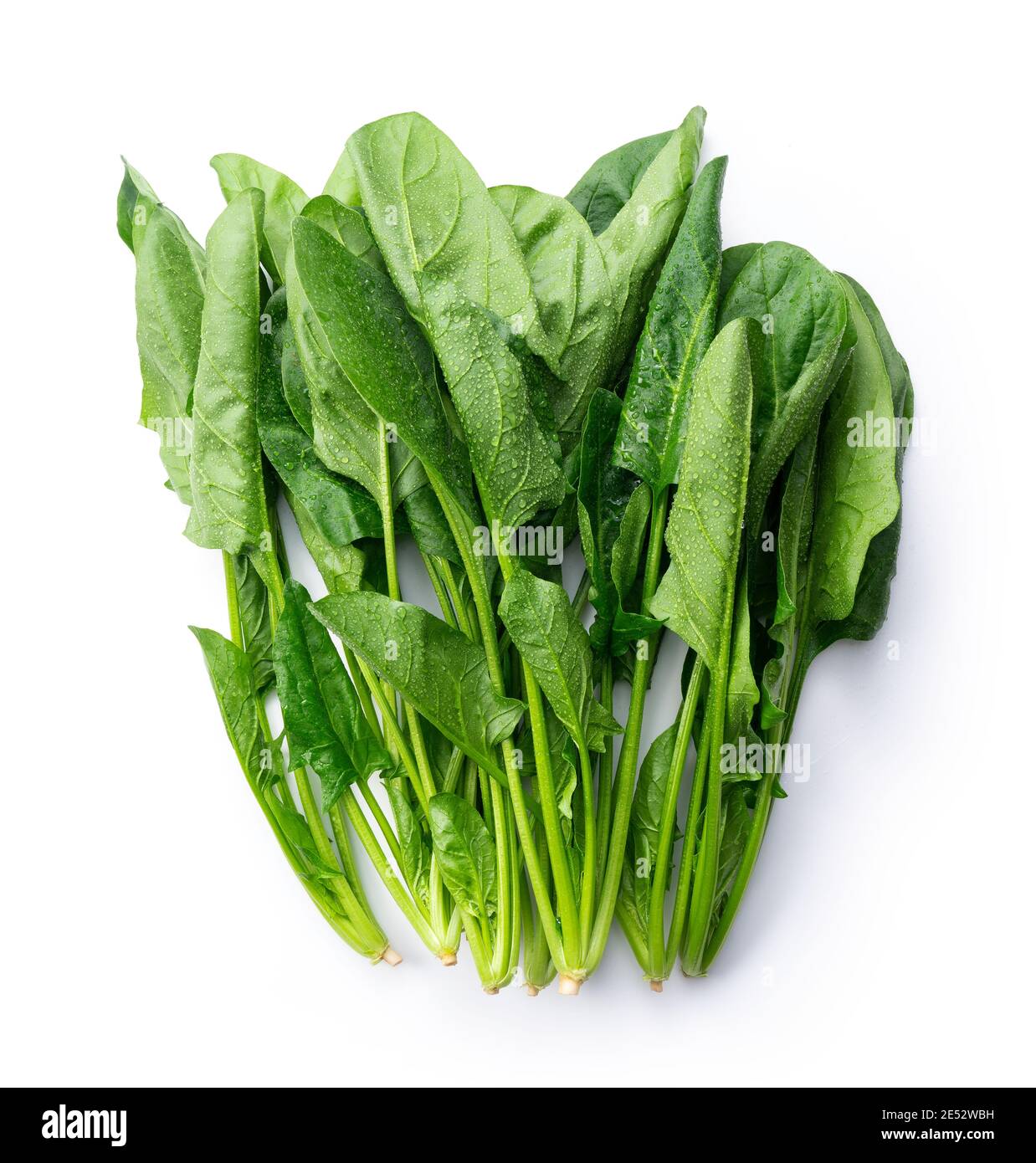 Spinach with drops of water on a white background. View from above ...