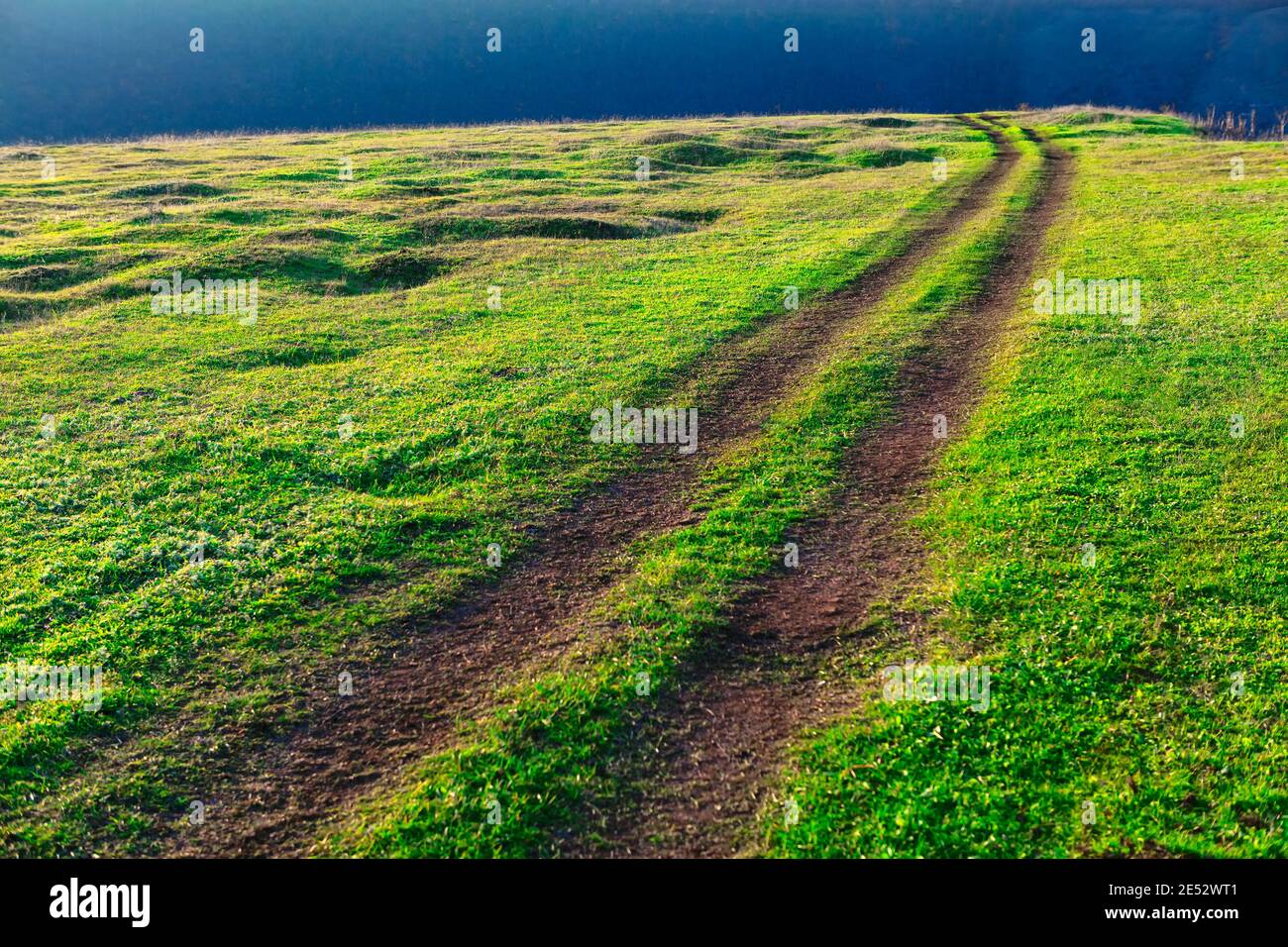 Green Lawn Grass High Resolution Stock Photography and Images - Alamy