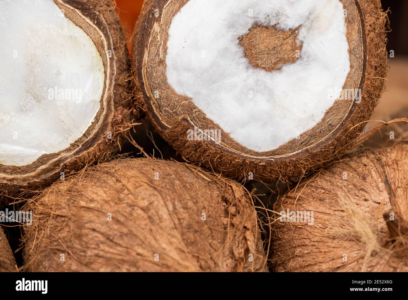 Coconut Cross Section High Resolution Stock Photography and Images - Alamy