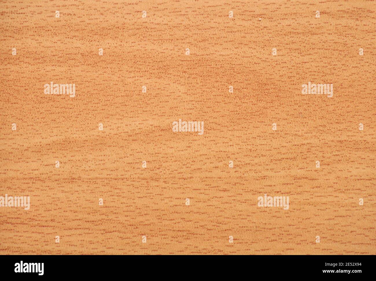 Dark beech, rich natural wood grain close-up. Background, texture Stock Photo - Alamy