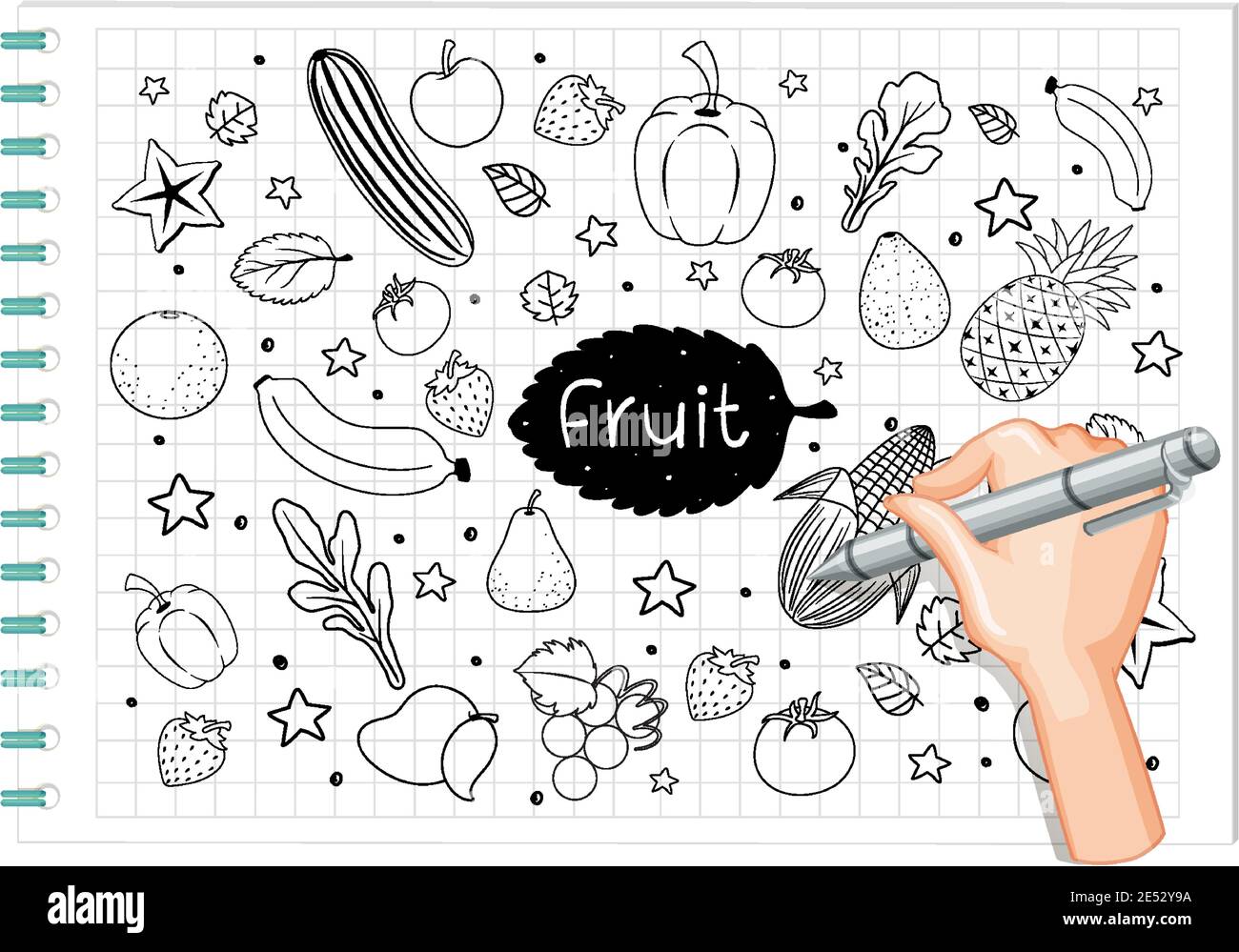 Hand drawing fruit in doodle or sketch style on paper illustration ...