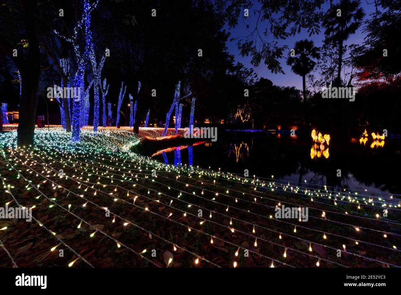 Lighting decorate on the tree in lighting festival showing countdown ...