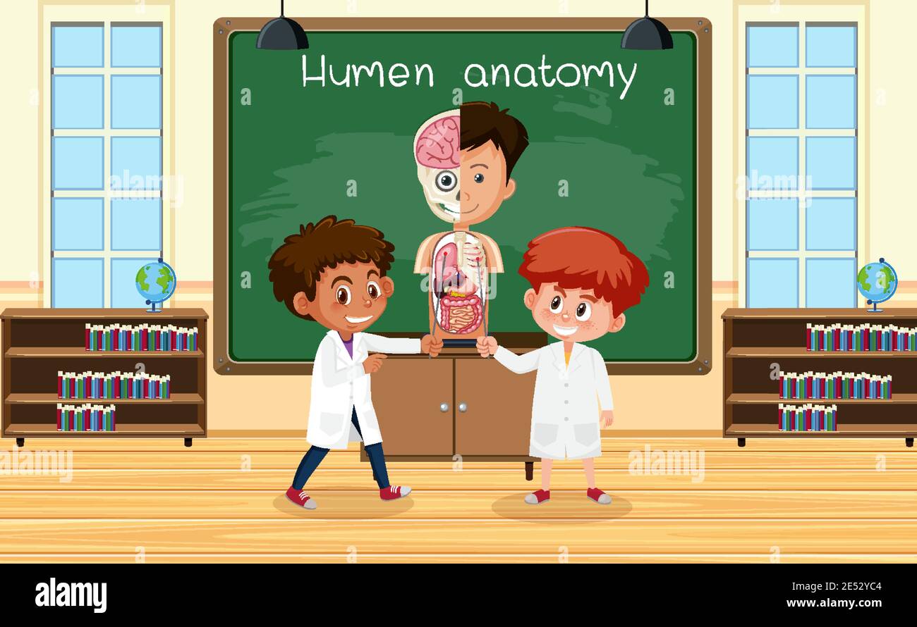 Young scientist explaining human anatomy in front of a board in ...