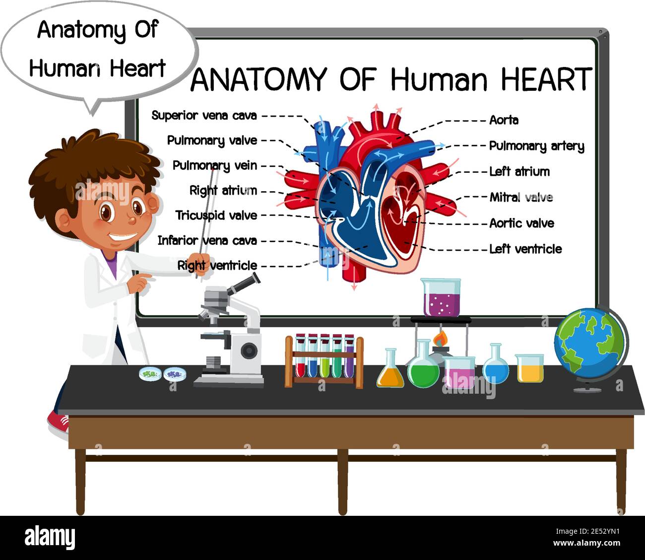 Information poster of human heart diagram illustration Stock Vector ...
