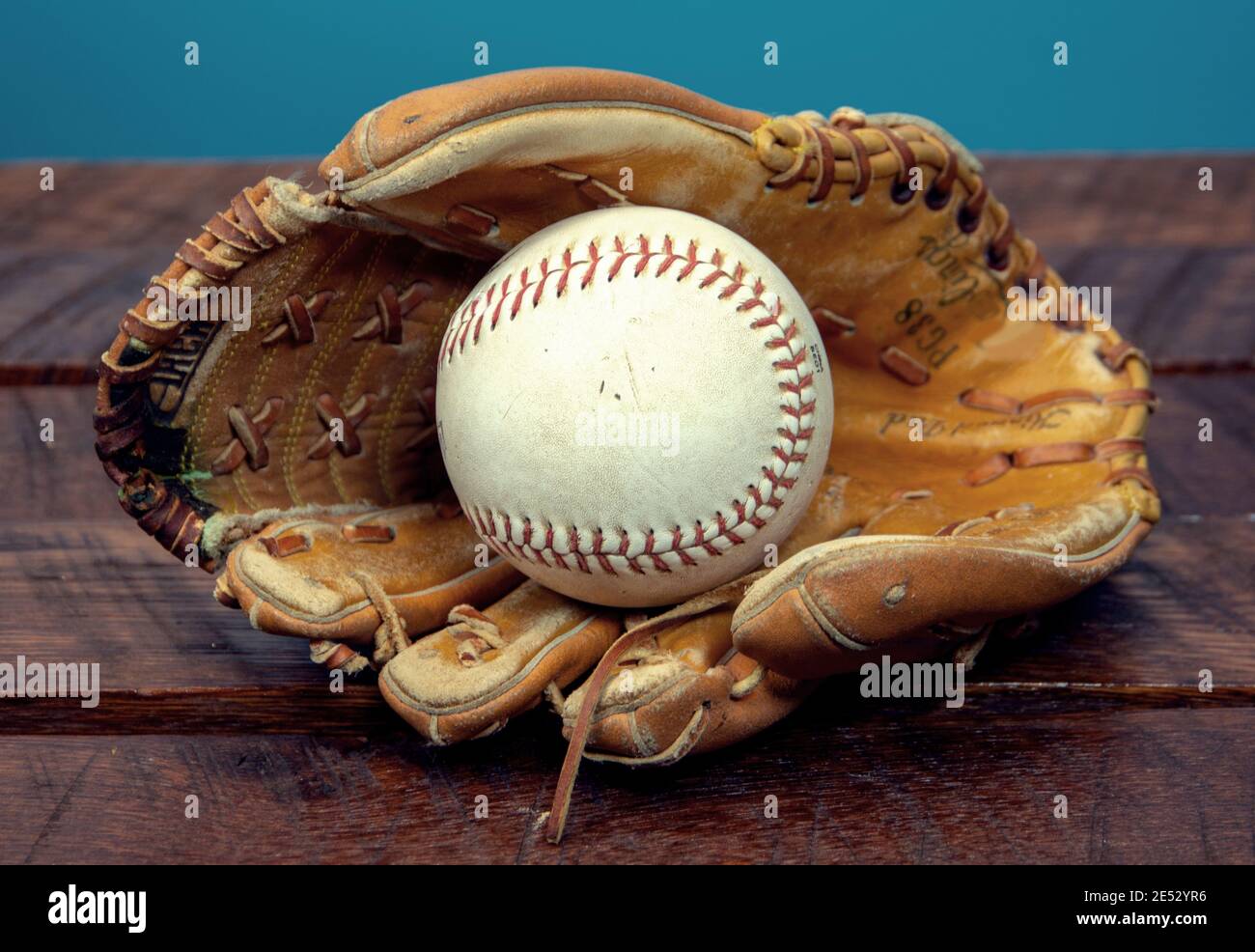 Softball laying in a baseball or softball glove with visible seams ...