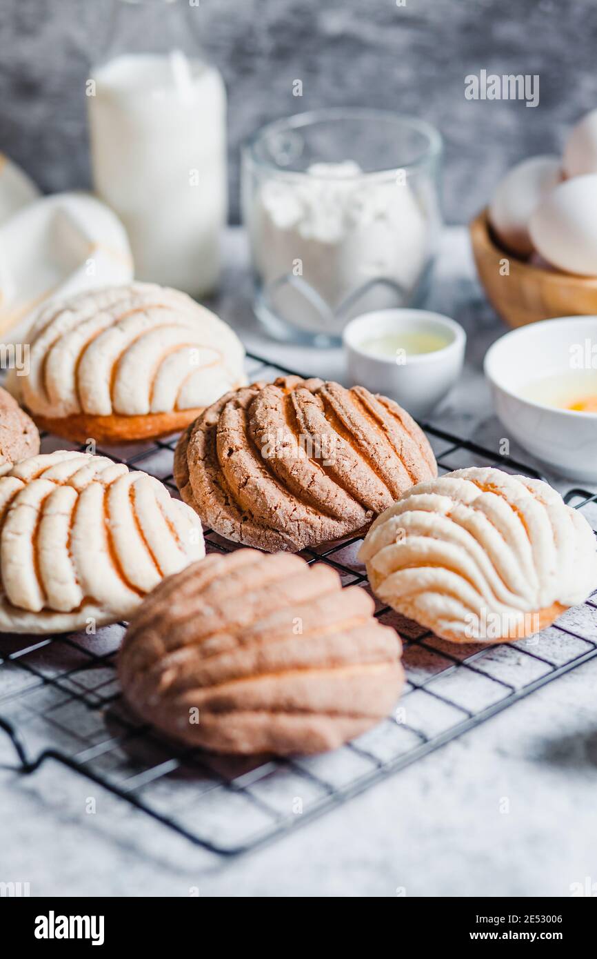 Conchas mexicanas hi-res stock photography and images - Alamy