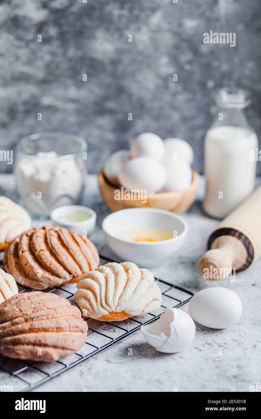 Conchas mexicanas hi-res stock photography and images - Alamy