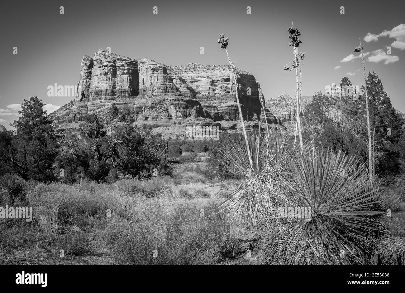 Red Rock Mountain in Sedona Colorado in the Summer Stock Photo - Alamy
