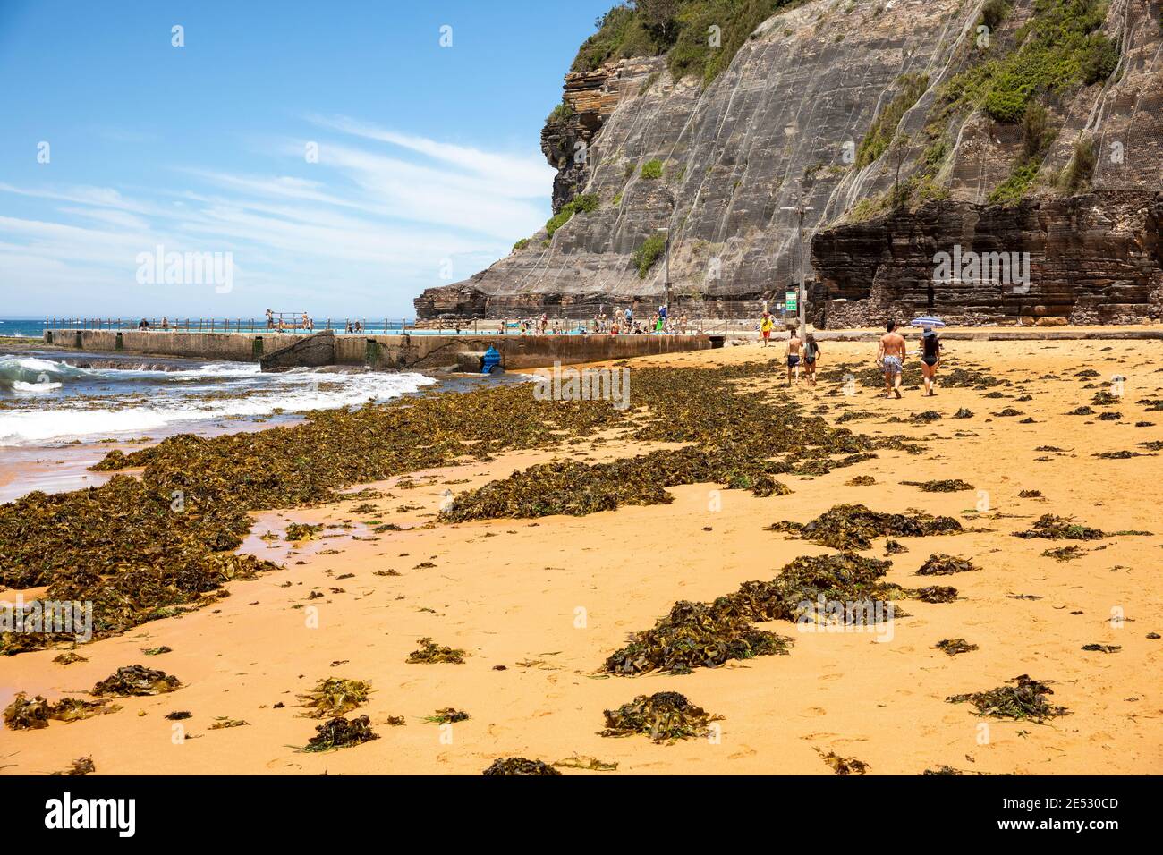 Bilgola Beach in Sydney NSW, seaweed on the beach and rockfall netting ...