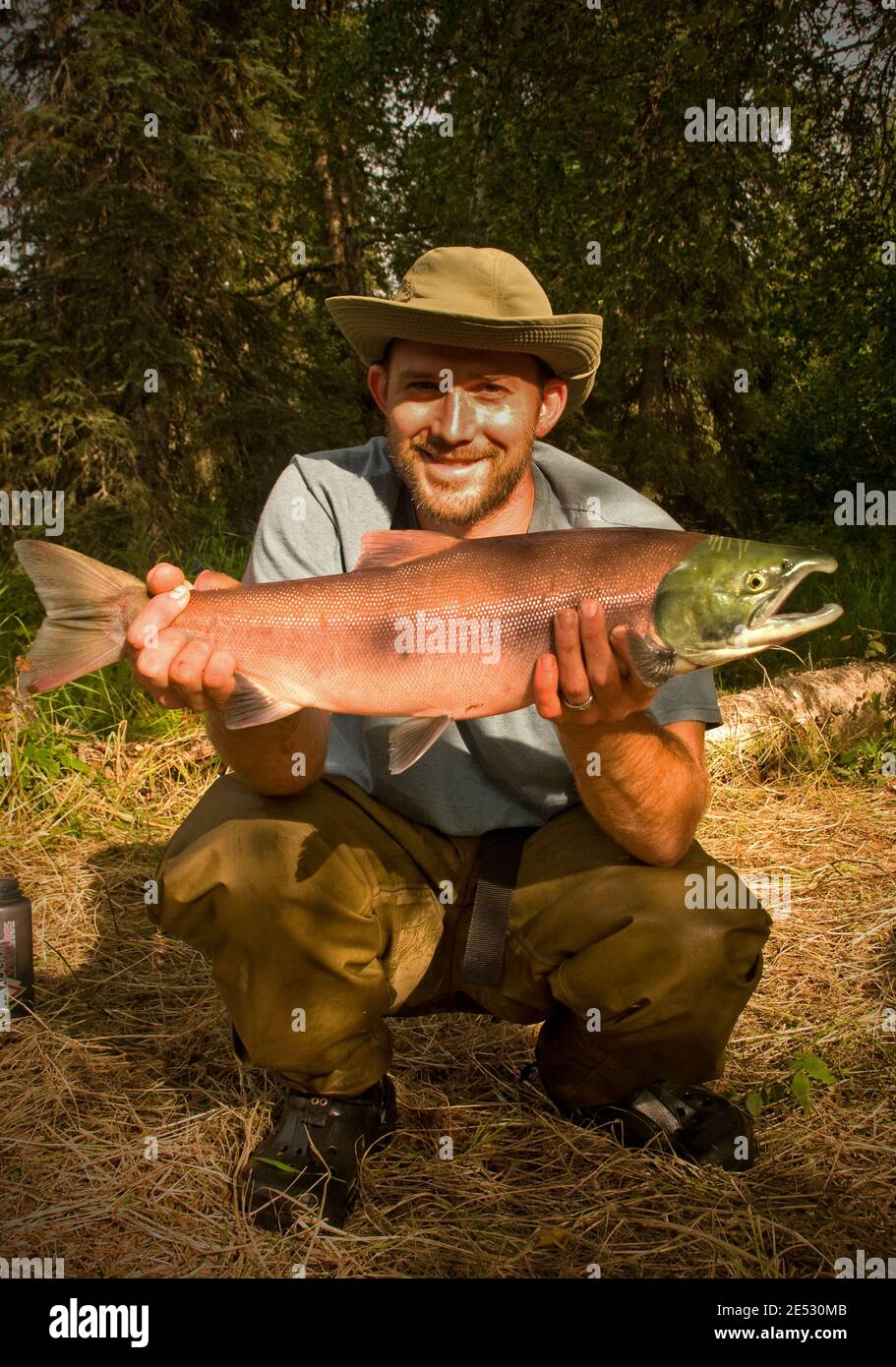 Sockeye Salmon catch of the day on Lake Kijik near Lake Clark National ...
