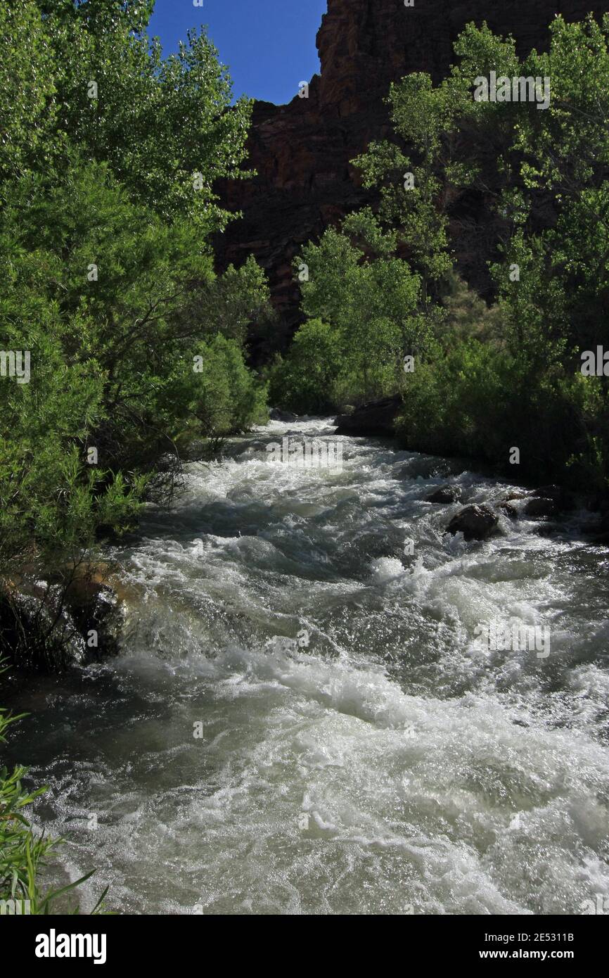 Tapeats Creek in heavy summer flow by Upper Tapeats Campground in Grand ...