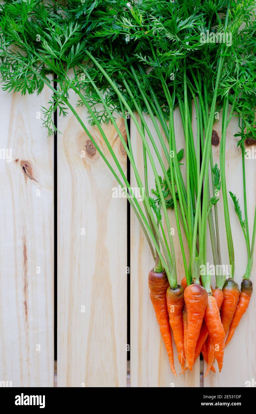 Bunch of fresh organic baby carrots with its trees on wooden background ...