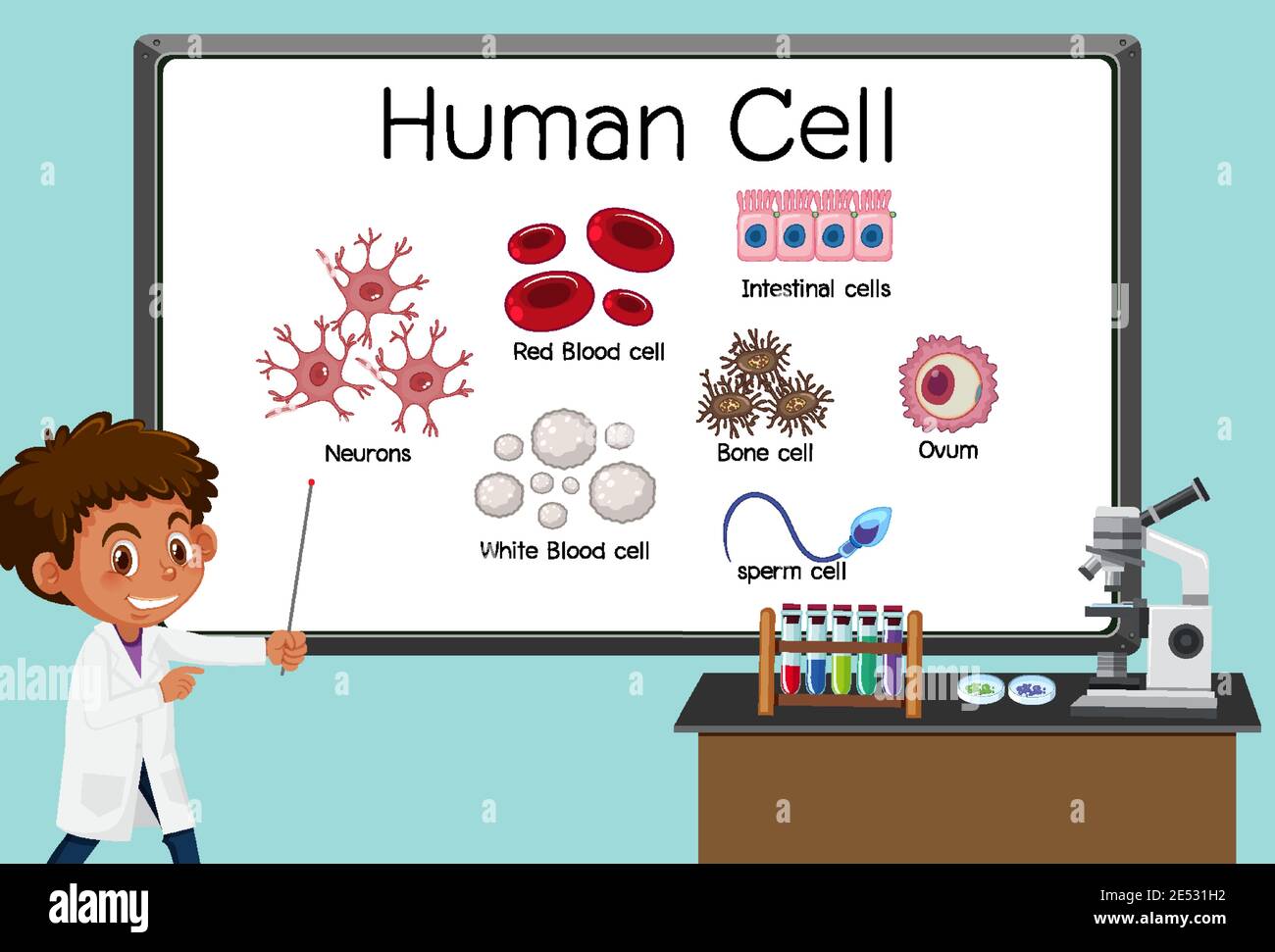 Young scientist explaining human cell in front of a board in laboratory ...
