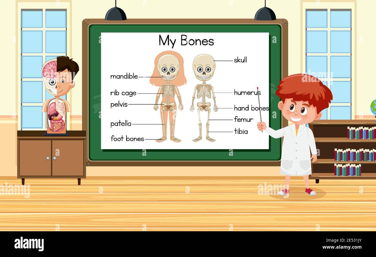 Young scientist explaining human bones in front of a board in ...