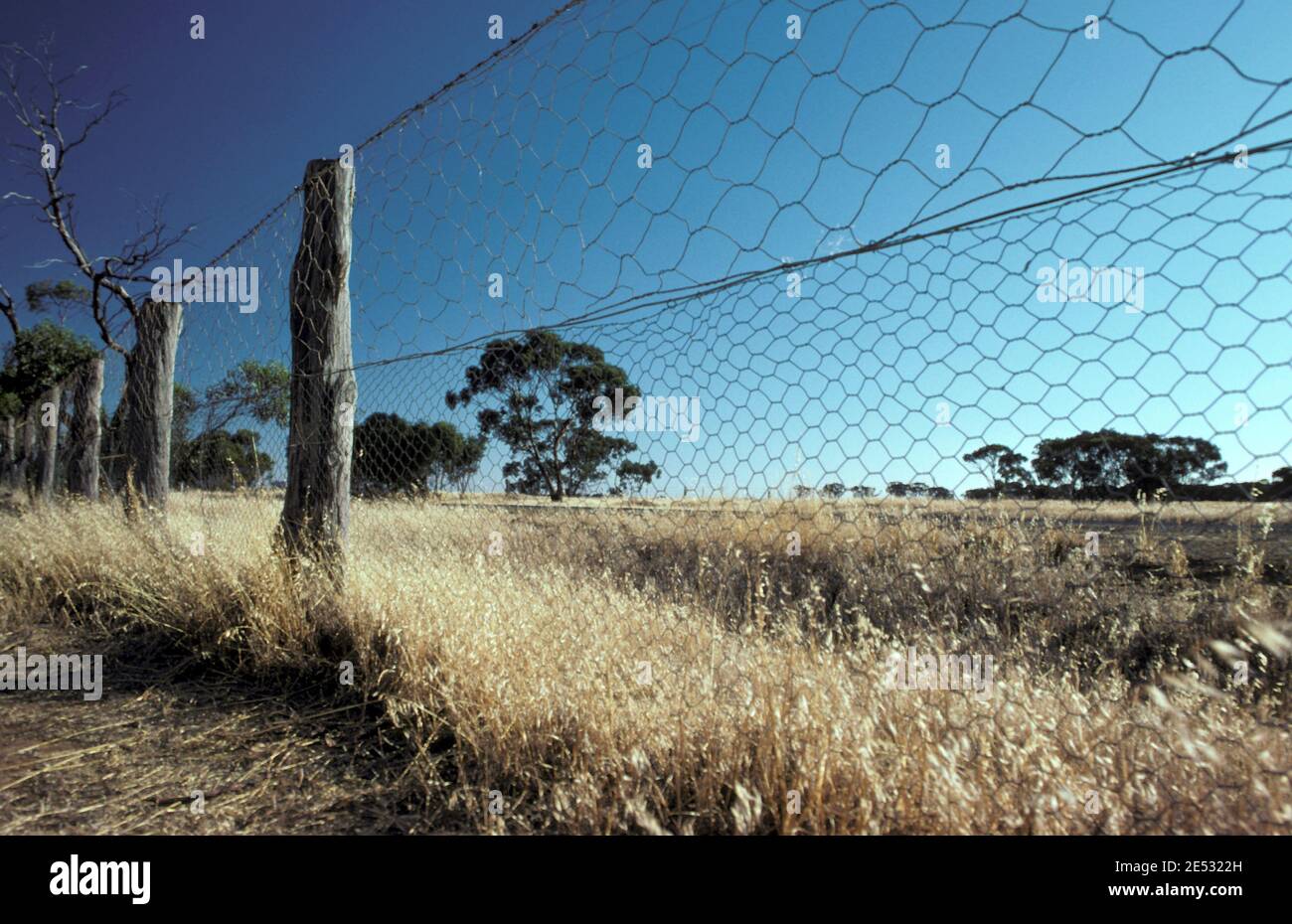 Australian outback fence hi-res stock photography and images - Alamy