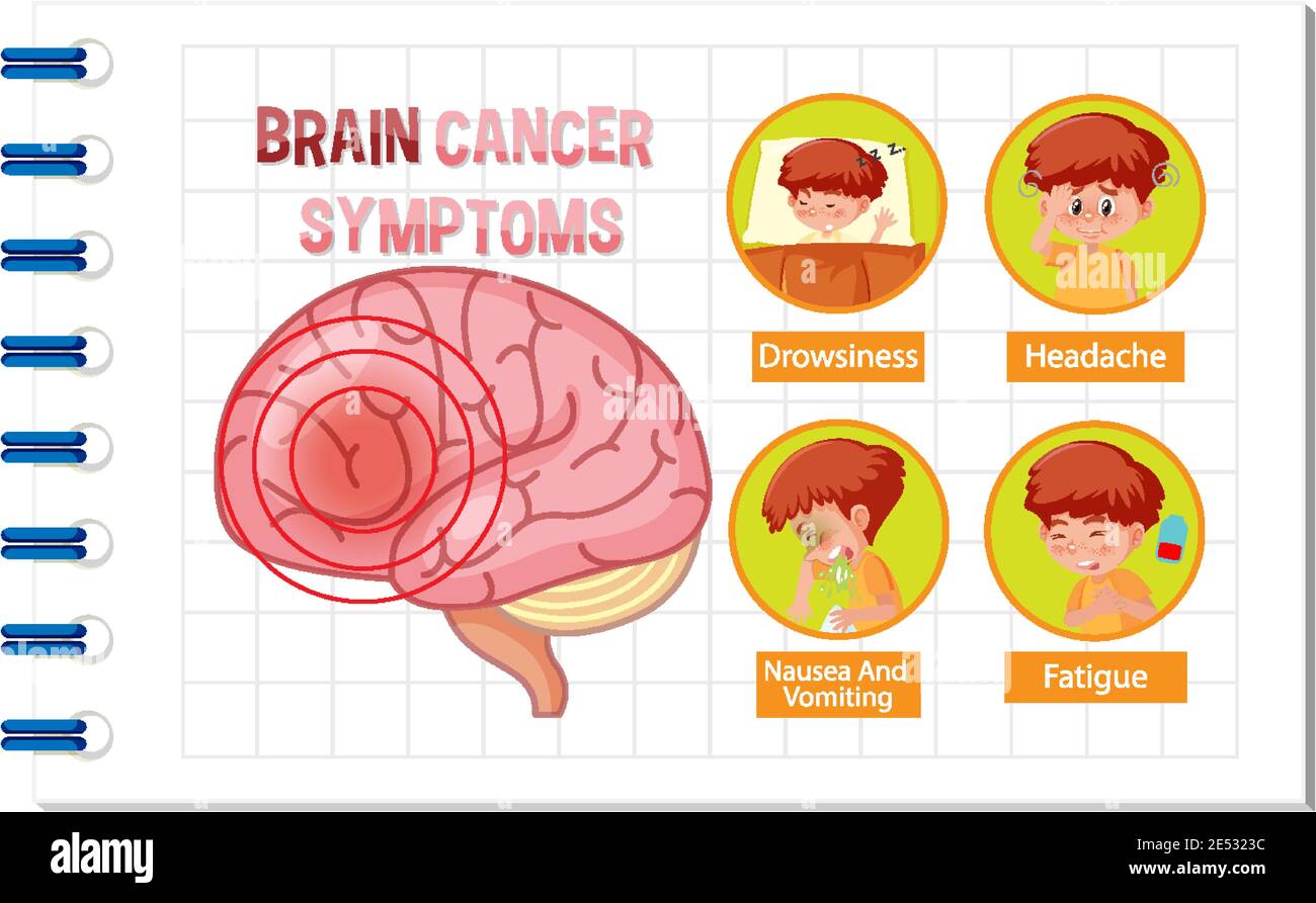 Information poster of human brain diagram illustration Stock Vector ...