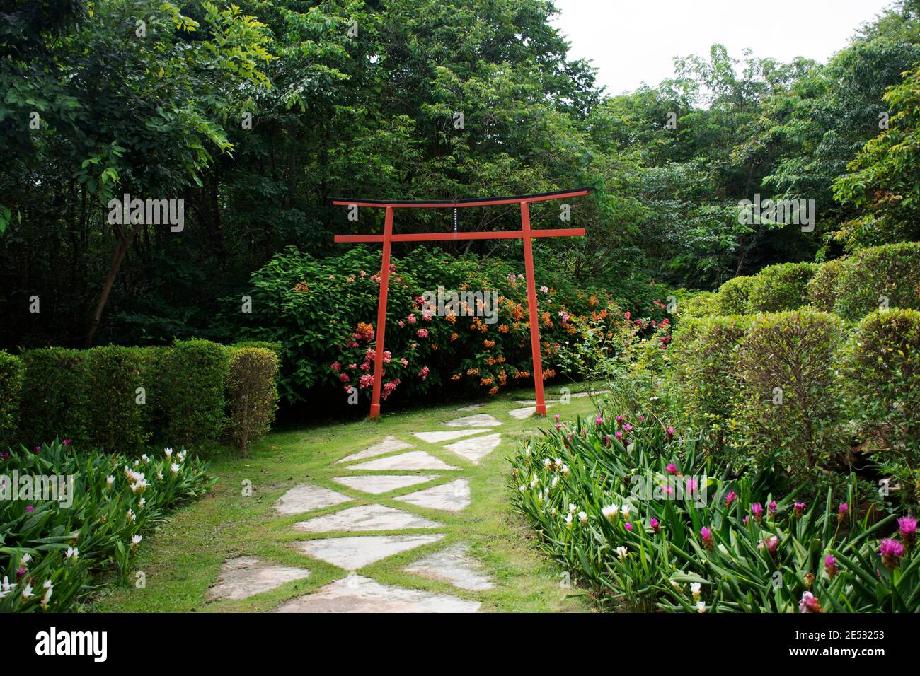 Japanese wooden torii gate national symbol hi-res stock photography and ...