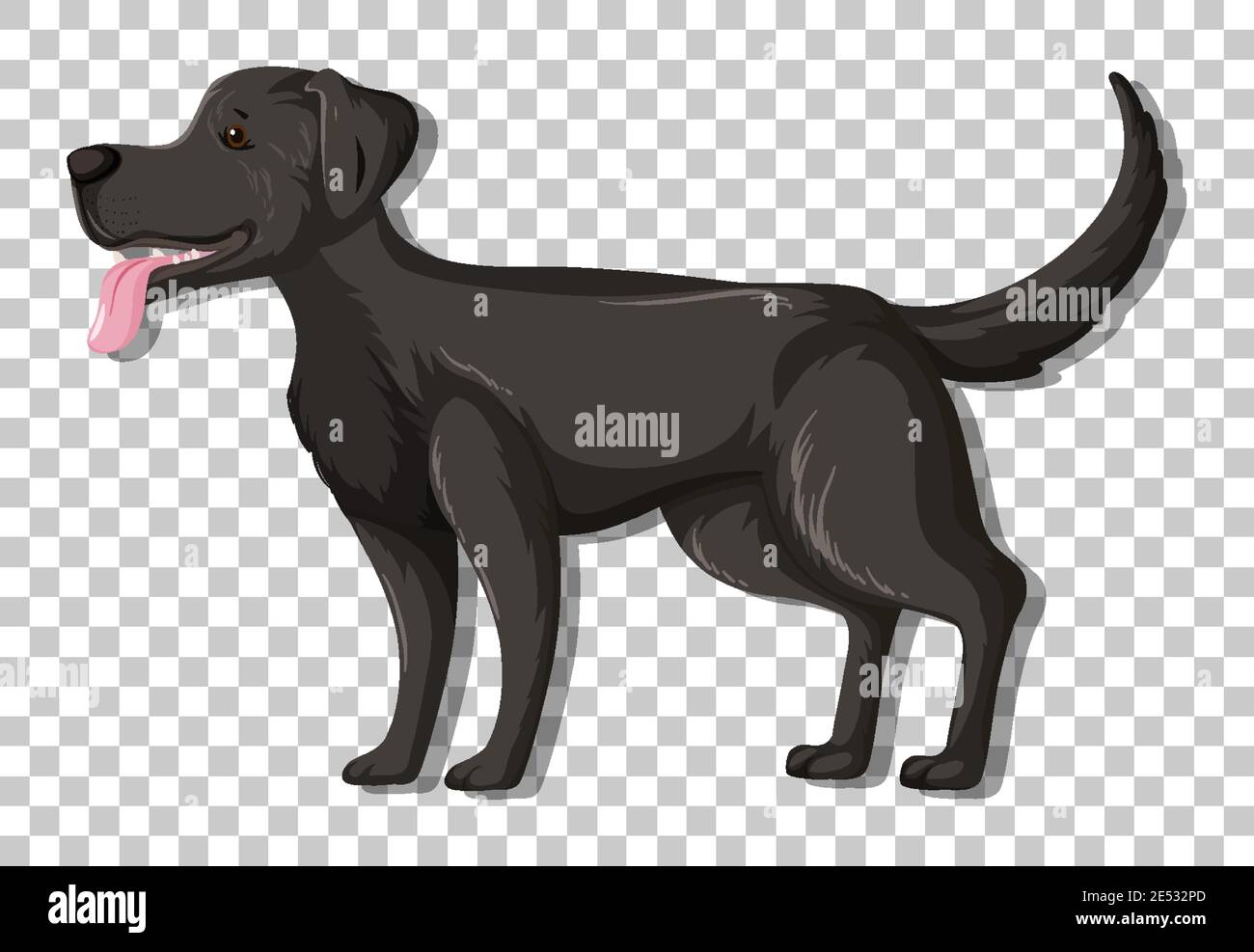 Black Labrador Retriever in standing position cartoon character ...