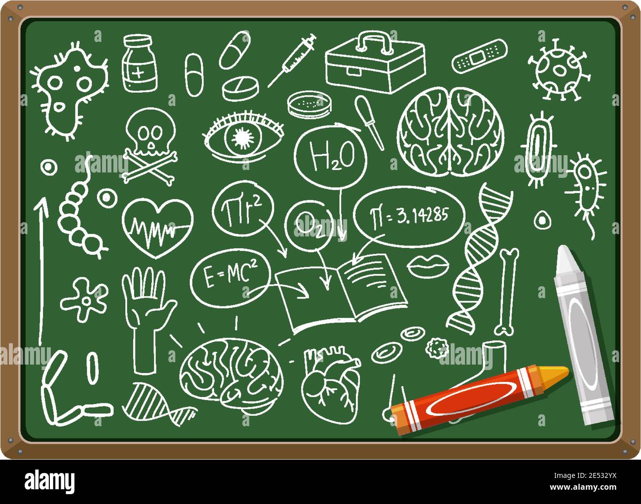 Hand drawn medical science element on chalkboard illustration Stock ...