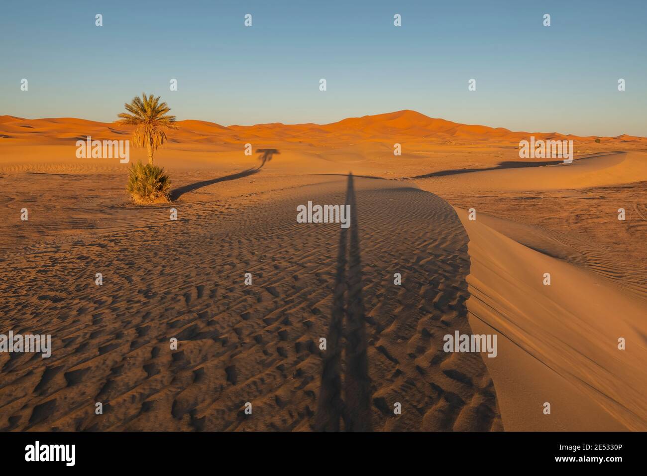 Sand dunes sunset in sahara hi-res stock photography and images - Alamy