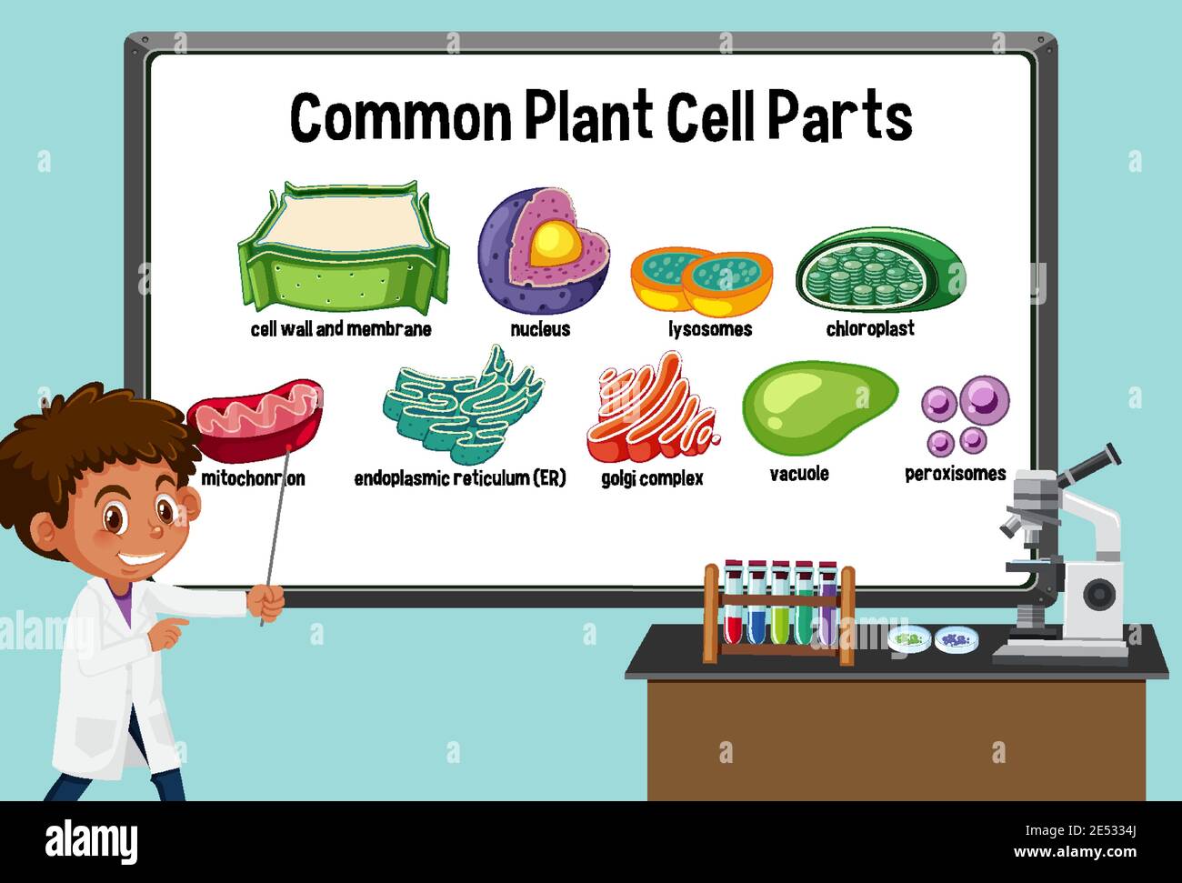 Young scientist explaining common plant cell parts in front of a board ...