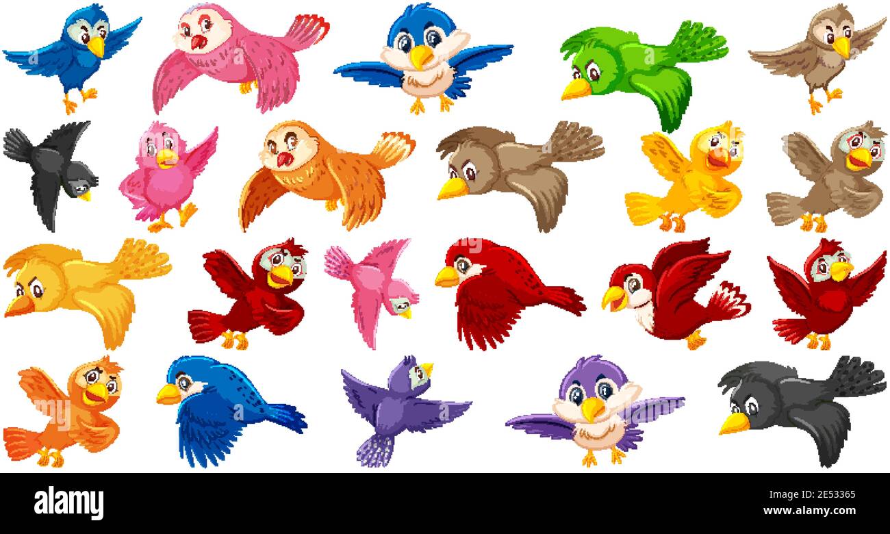 Set of bird cartoon character illustration Stock Vector Image & Art - Alamy